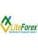 Best Forex Brokers for Scalping 2026 - Spread & Speed Test